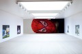 Put Your Head into Gallery - Petocuri